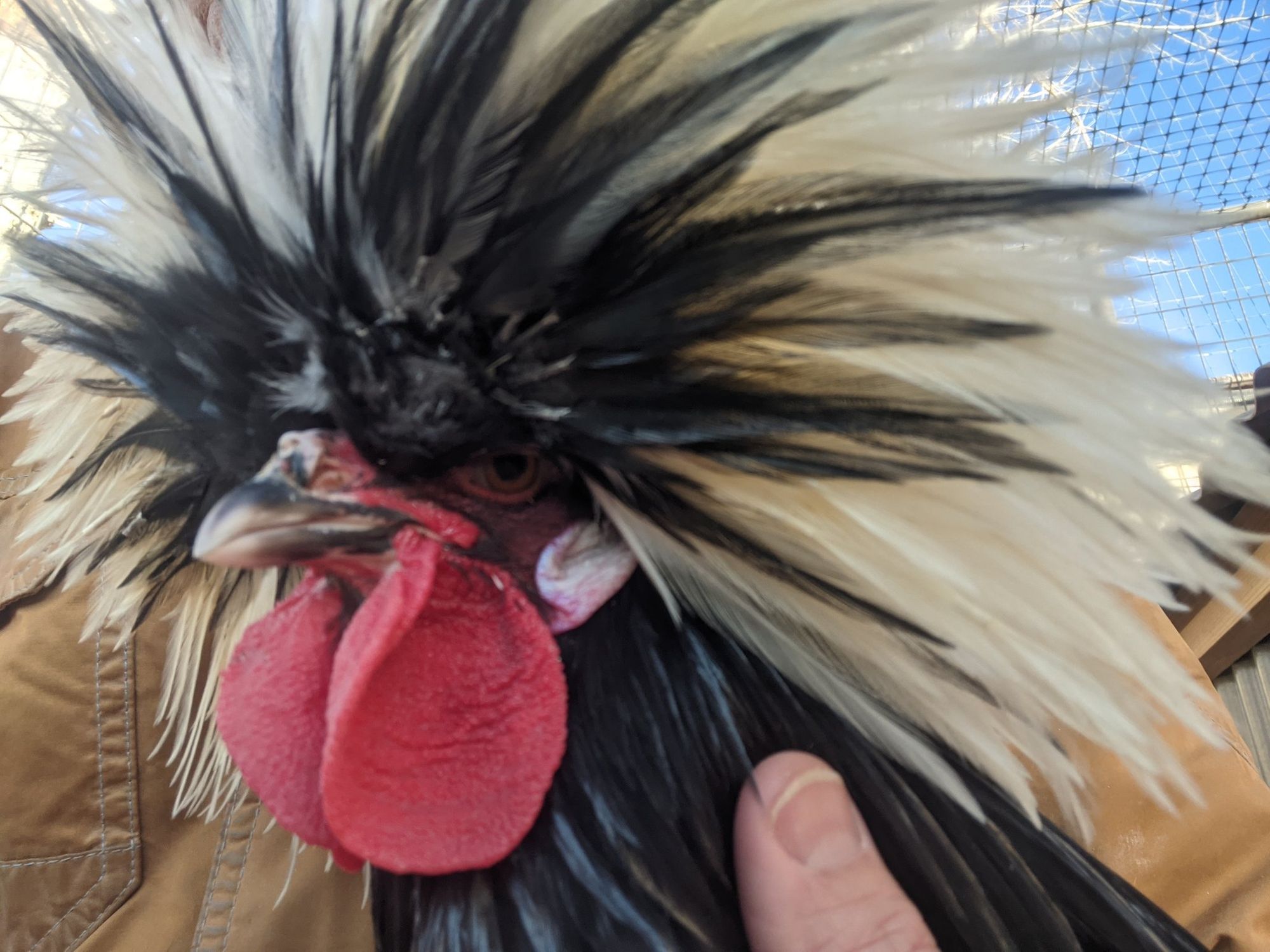 And the Gifts Continue!