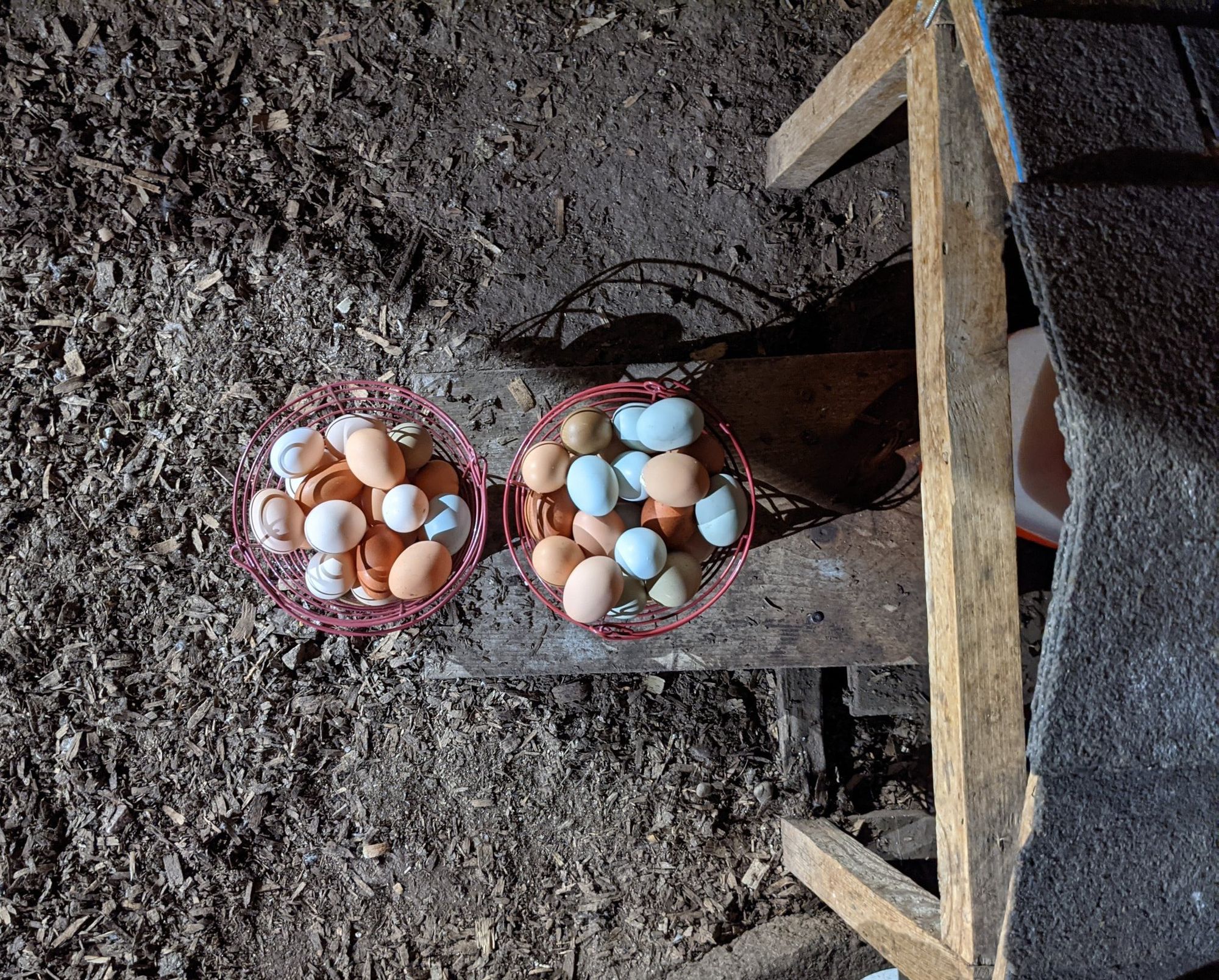 Cam Upgrads and a Free Latte.